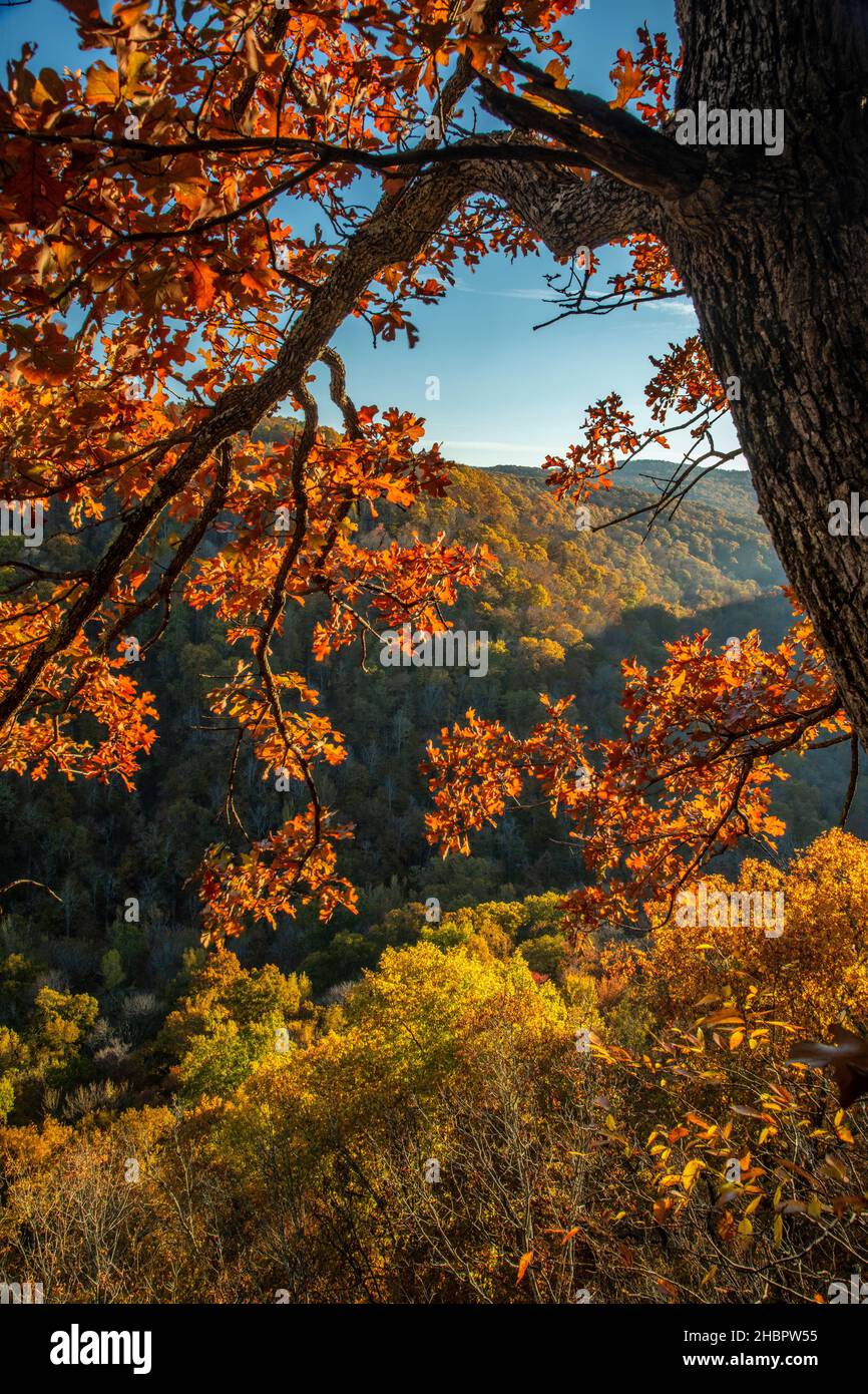 USA,South, Arkansas, Ozarks, Hawksbill Crag, Whitaker Point *** Local ...