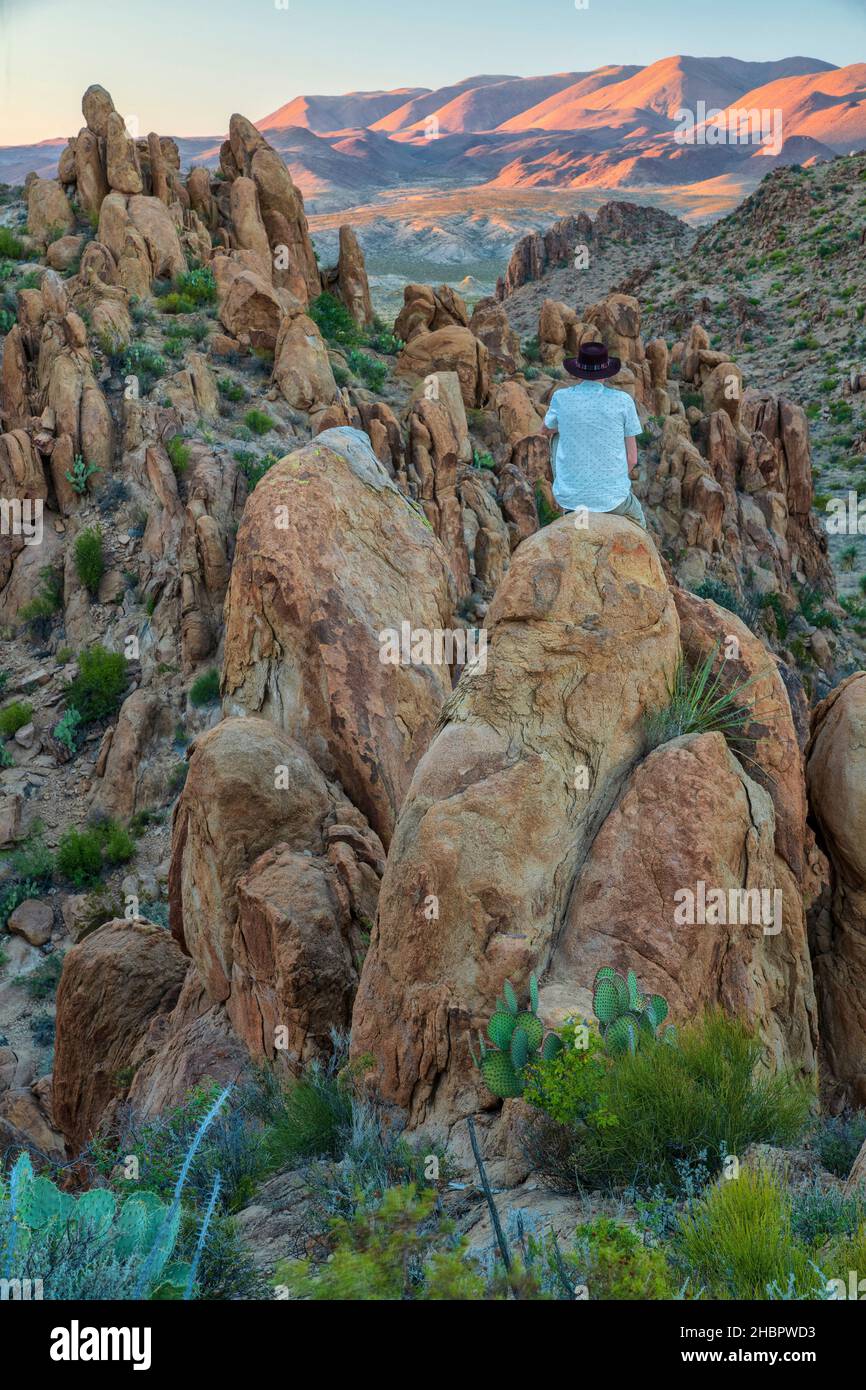 USA, West Texas, Texas Big Big National Park, Grapevine Hills ...