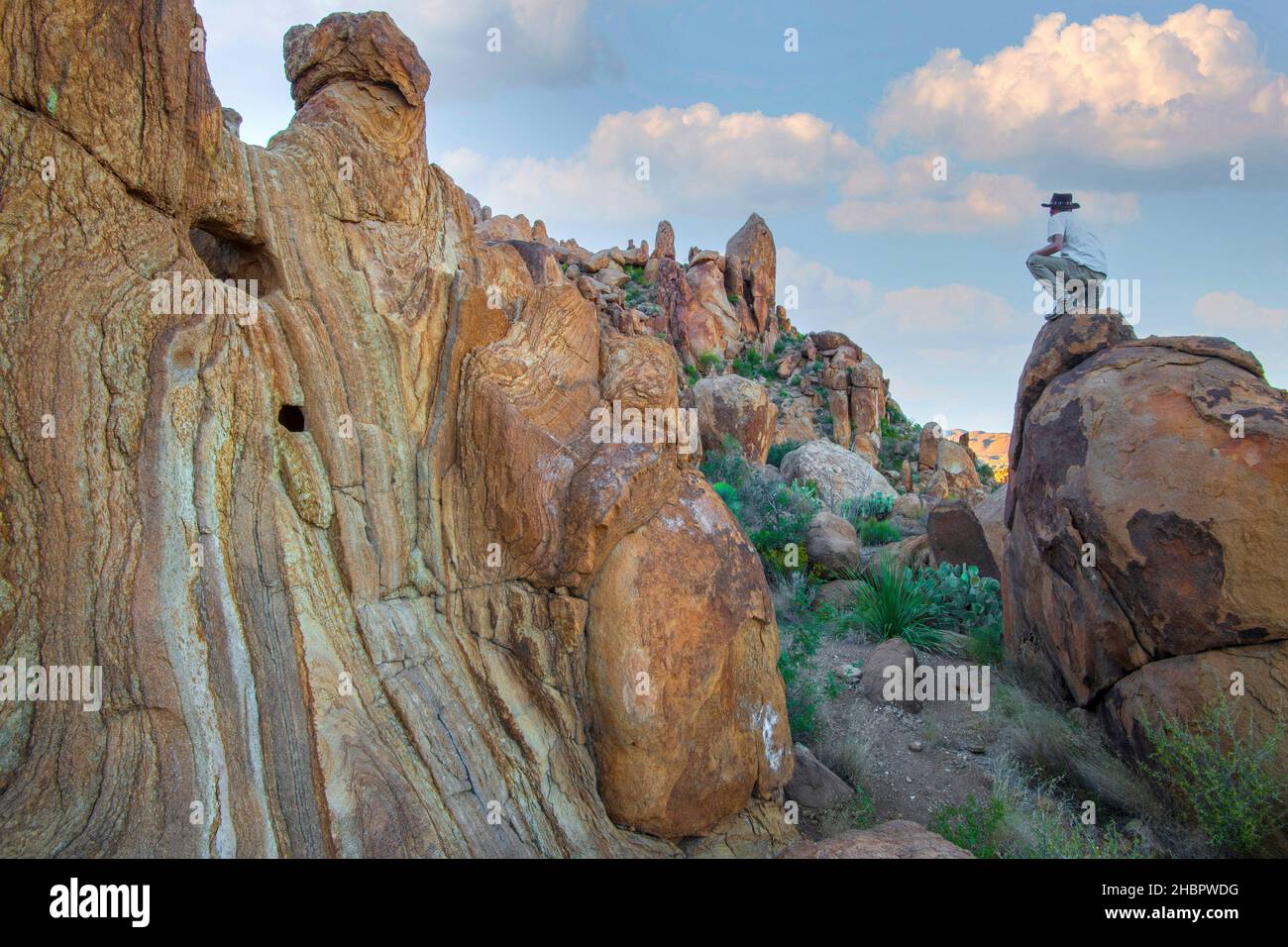 USA, West Texas, Texas Big Big National Park, Grapevine Hills, (m ...
