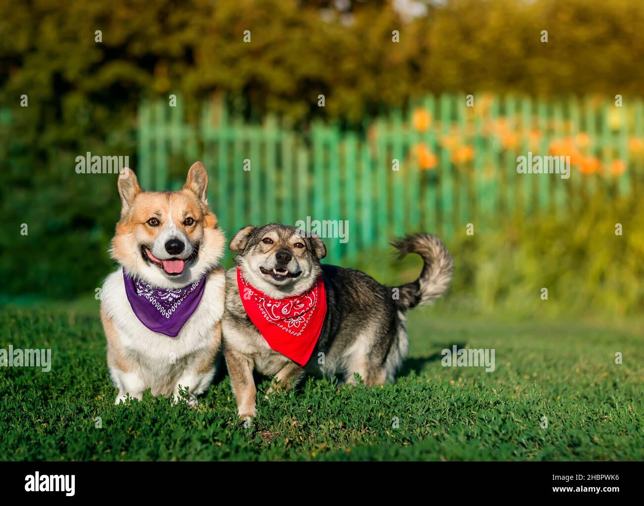 Two friends sitting on garden hi-res stock photography and images - Alamy