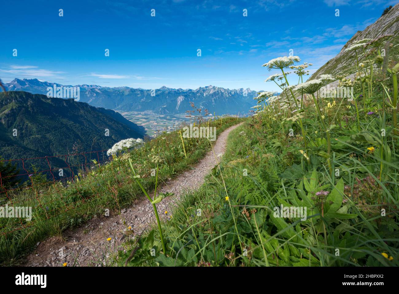 Suisse, Schweiz, Switzerland, Vaud, Waadt, Montreux, Les Rochers-de ...