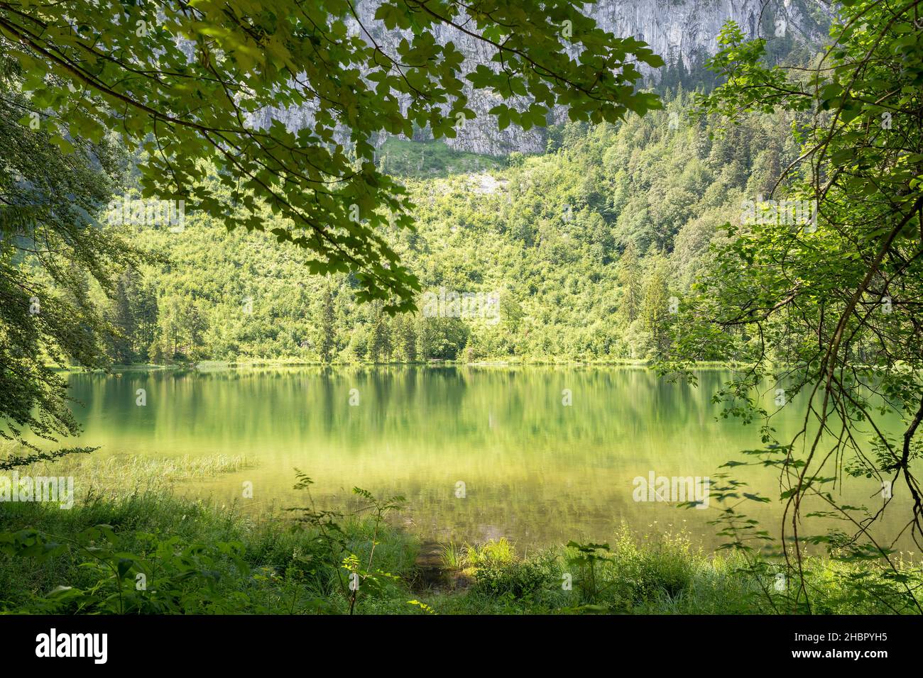 am Frillensee in der Gemeinde Inzell, Chiemgau, Bayern Stock Photo - Alamy