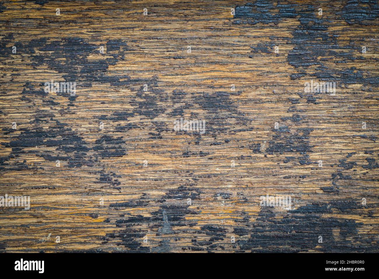 Abstract background of Dark wood texture background Stock Photo - Alamy
