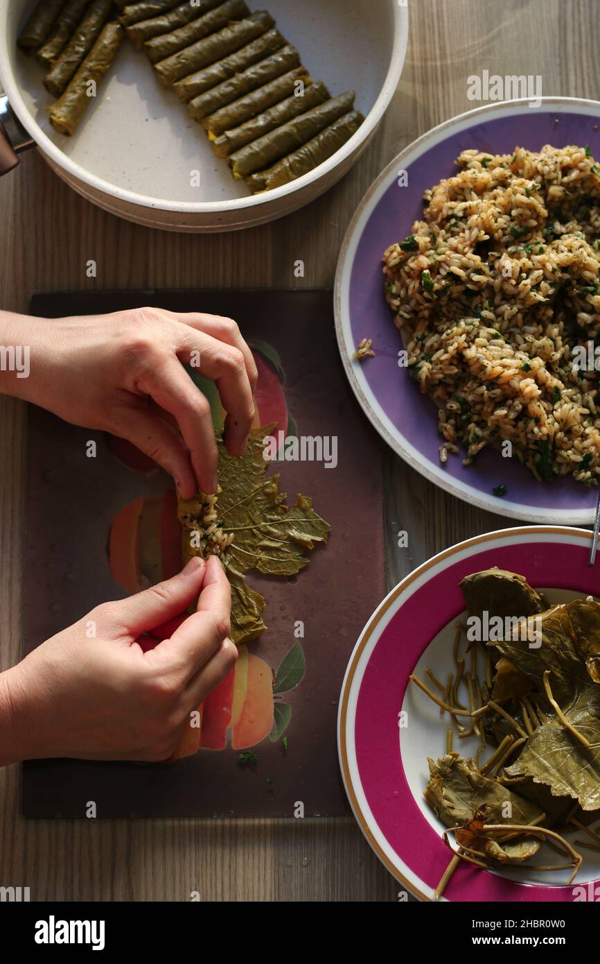 Turkish sarma, delicious dolma stuffed grape leaves with rice. Lebanese ...