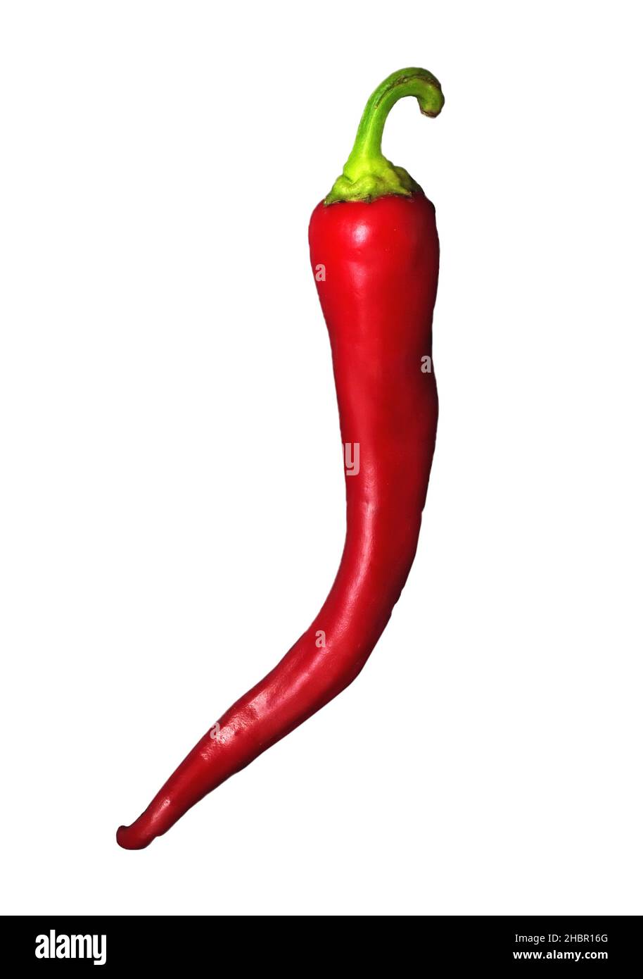 Chili pepper isolated on a white background. One chili hot pepper ...