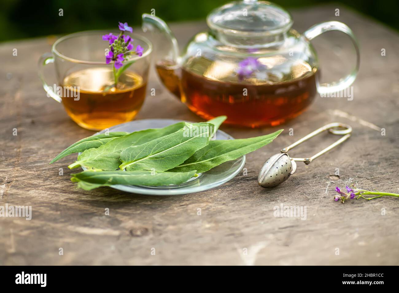 Gilly flower tea hi-res stock photography and images - Alamy