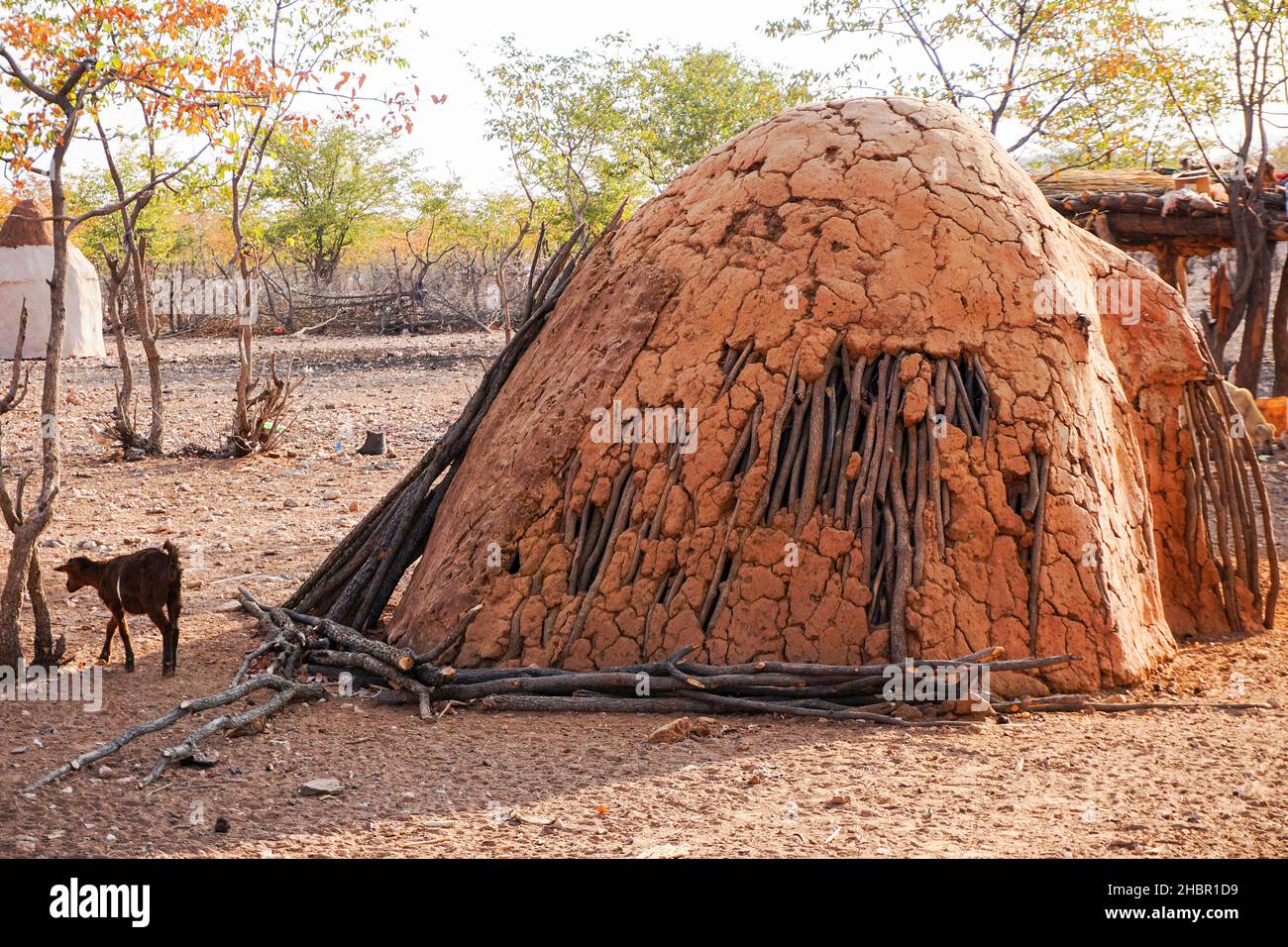 Typical houses of the Tribe of the Himba, Namibia, Africa Stock Photo ...