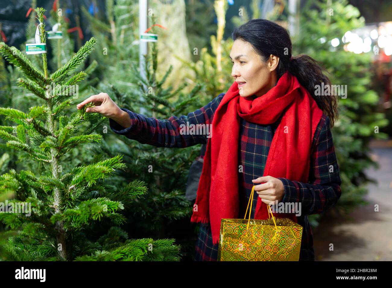 Asian woman purchasing christmas tree at new year's fair Stock Photo ...
