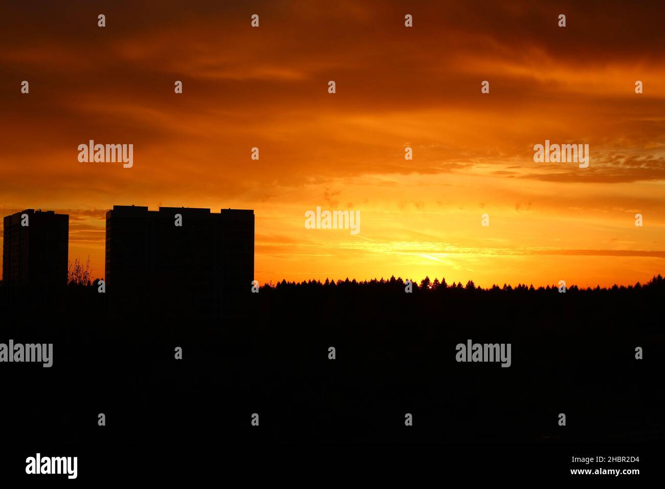 Silhouettes of high-rise buildings and a forest against a beautiful ...