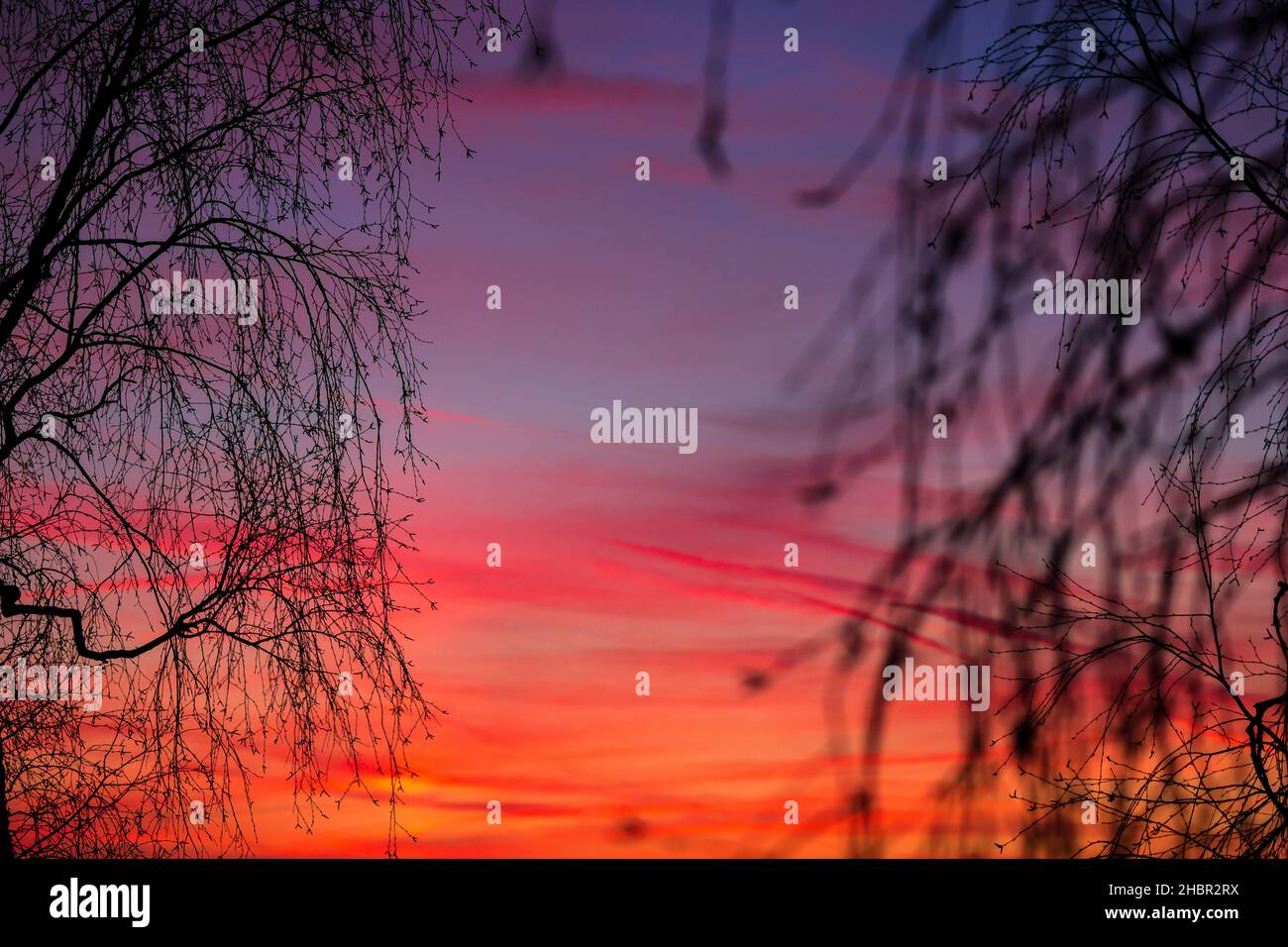 Lilac sunset hi-res stock photography and images - Alamy