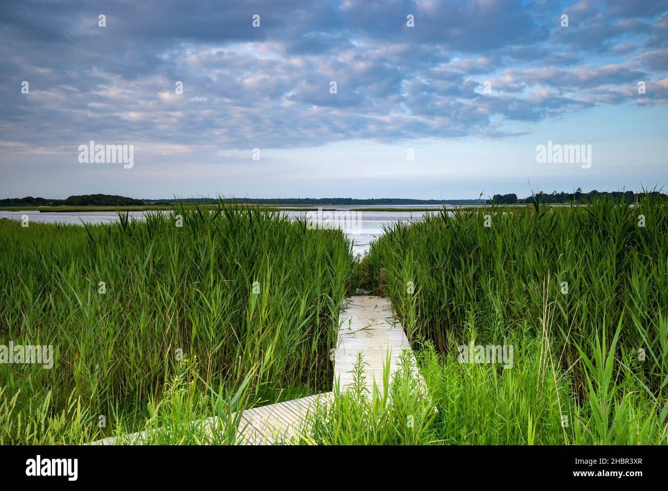 Elevated wooden broadwalk hi-res stock photography and images - Alamy