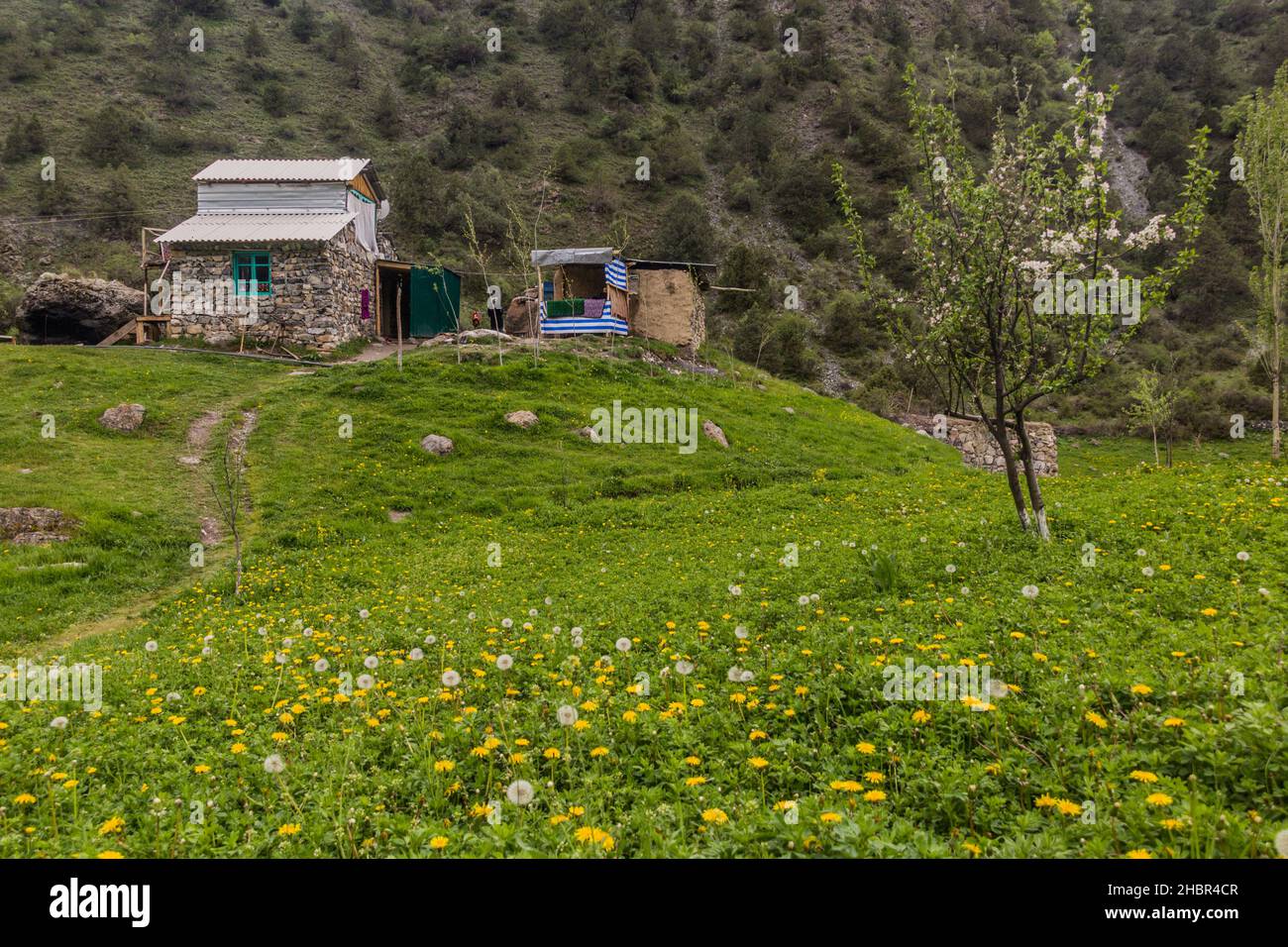 Local house in Artuch in Fann mountains, Tajikistan Stock Photo - Alamy