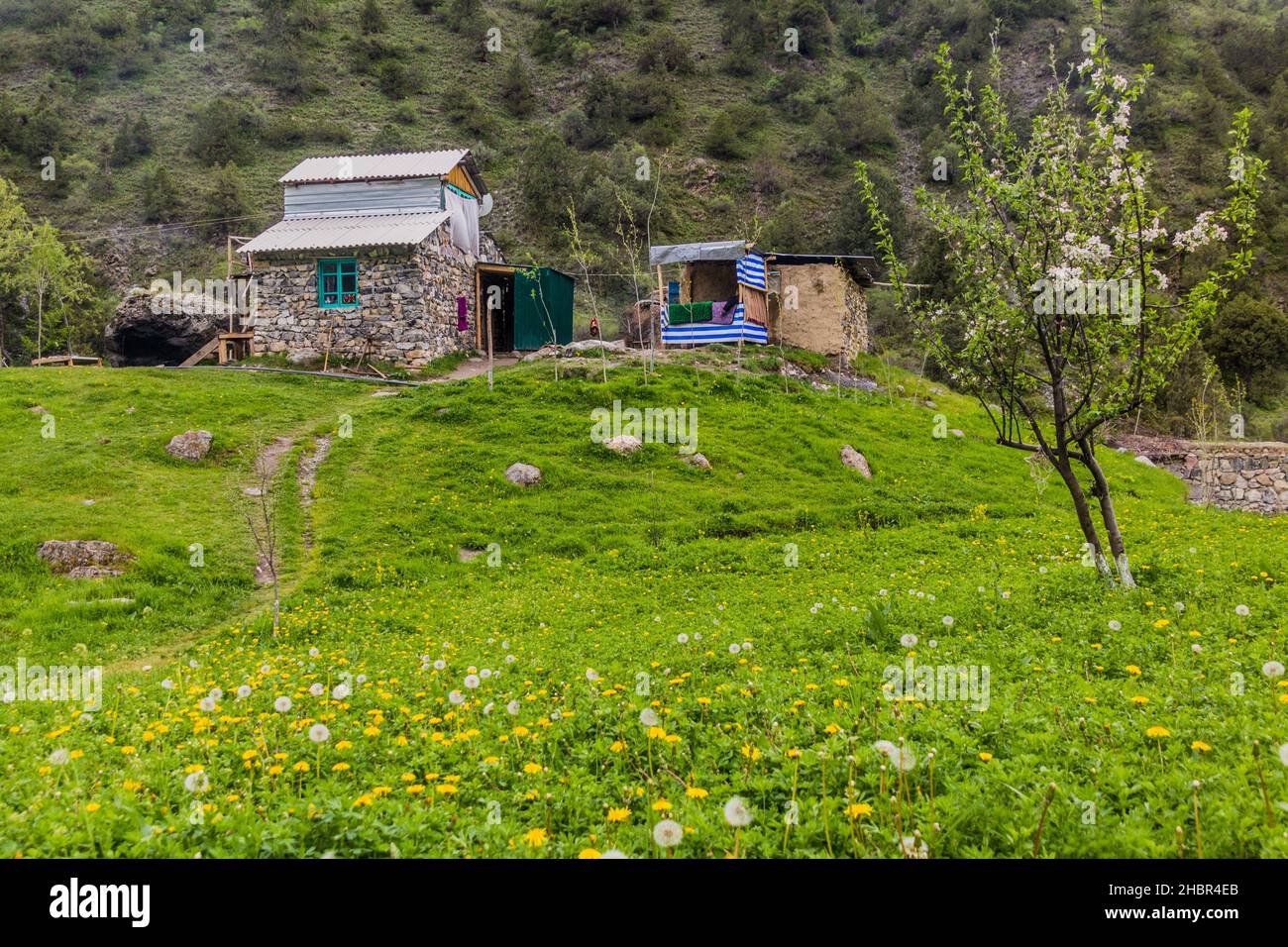 Local house in Artuch in Fann mountains, Tajikistan Stock Photo - Alamy