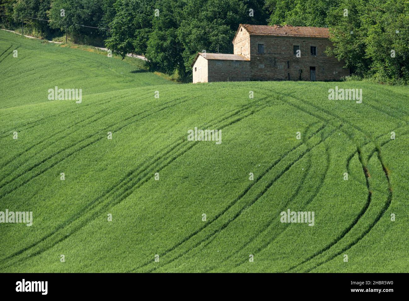 Traditional farm in the Corridonia countryside, Marche, Italy, Europe ...