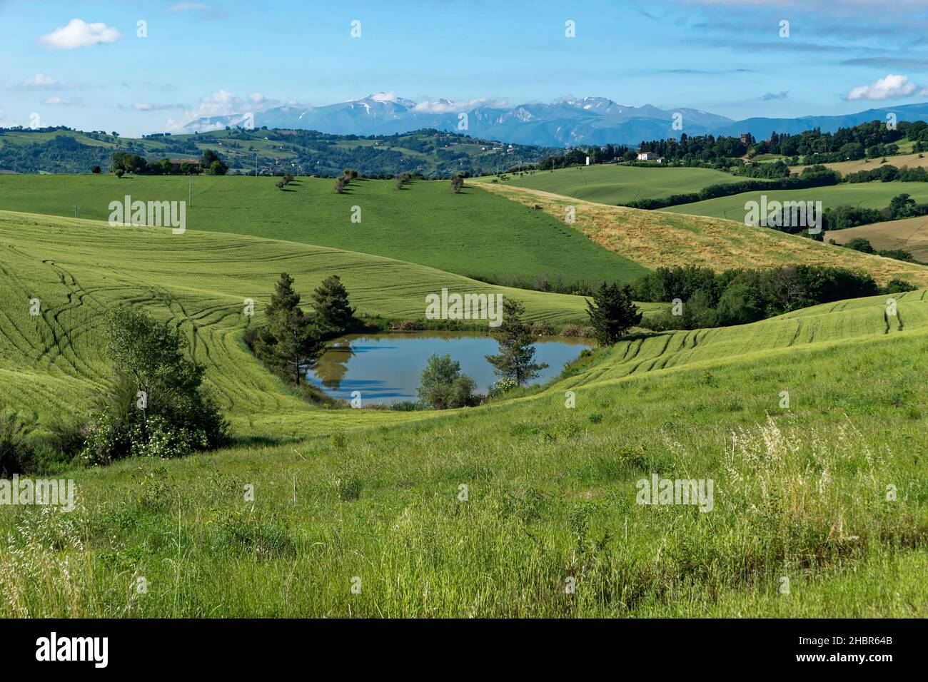 Countryside landscape with pond near Tolentino, Marche, Italy, Europe ...