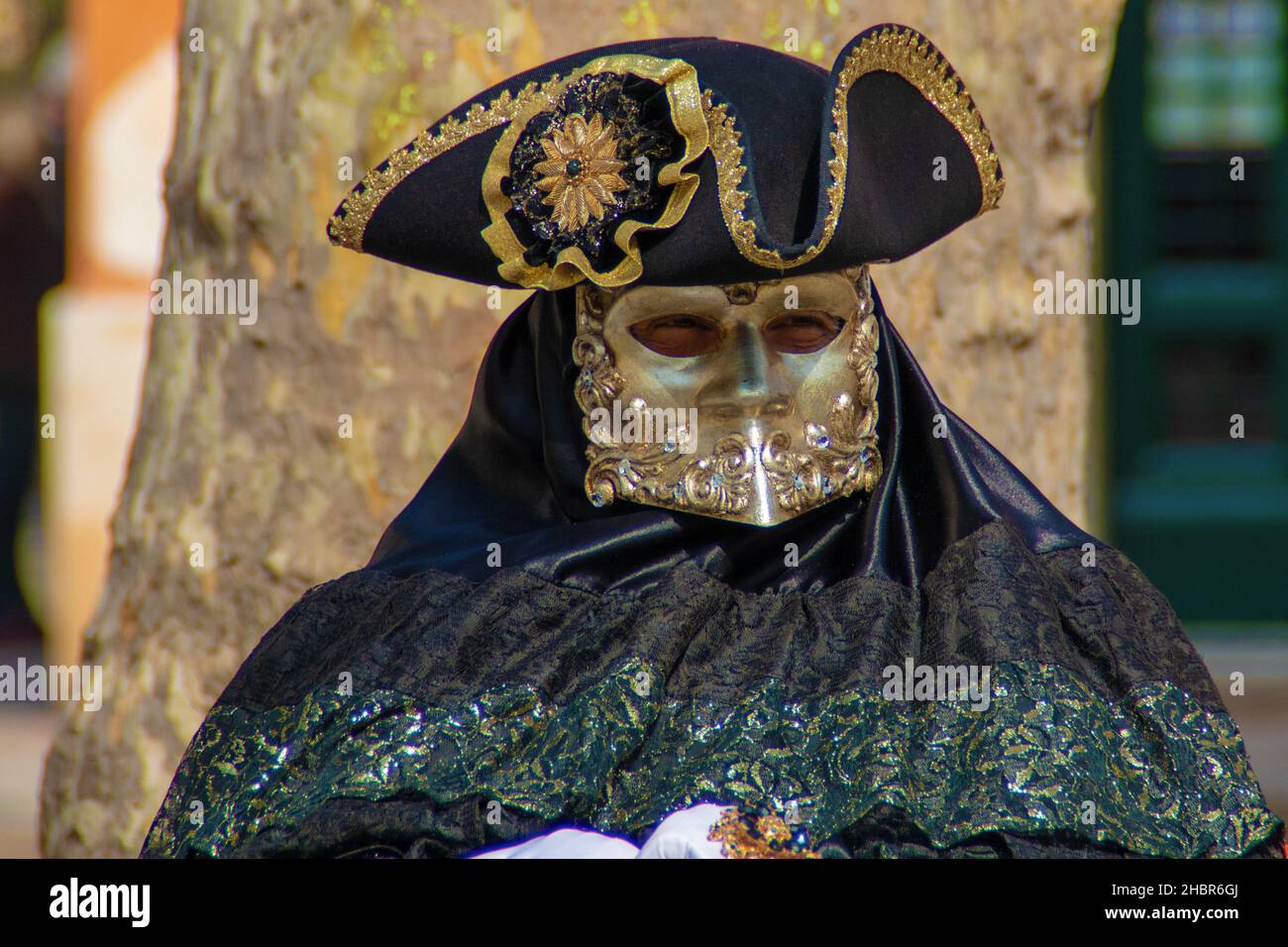 VENEZIA, ITALY - Mar 05, 2019: A closeup shot of a male masked as a ...