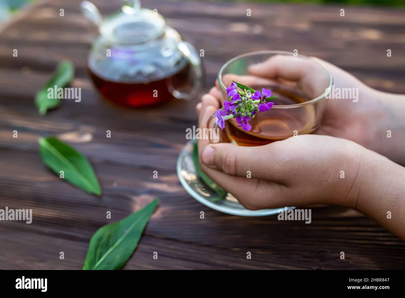 Gilly flower tea hi-res stock photography and images - Alamy