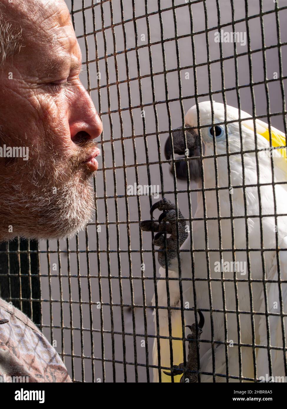 animals and birds at rancho Texas Lanzarote Stock Photo - Alamy