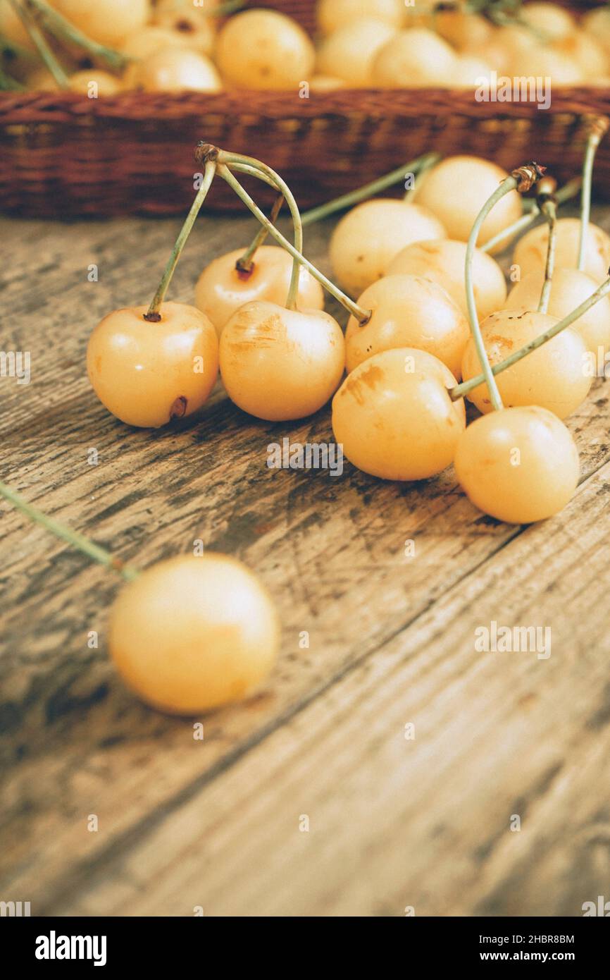 Yellow spanish variety of cherries hi-res stock photography and images ...