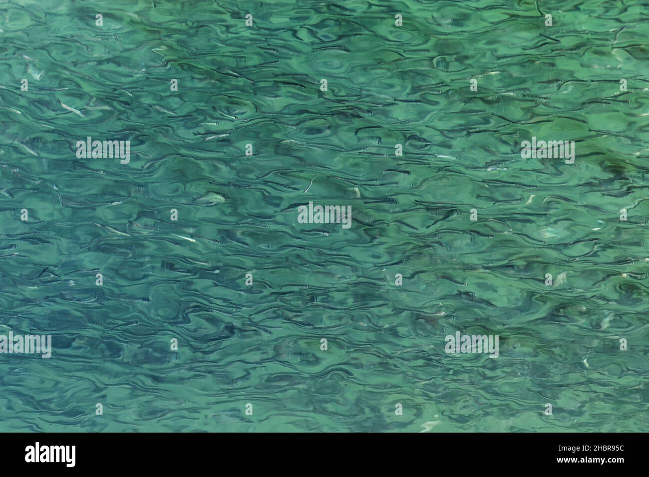 The green water surface pattern background Stock Photo - Alamy