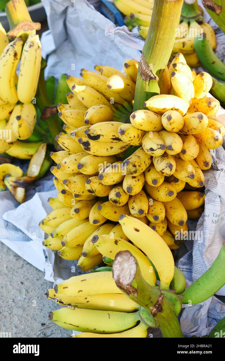 banana display for sale at local market Stock Photo - Alamy