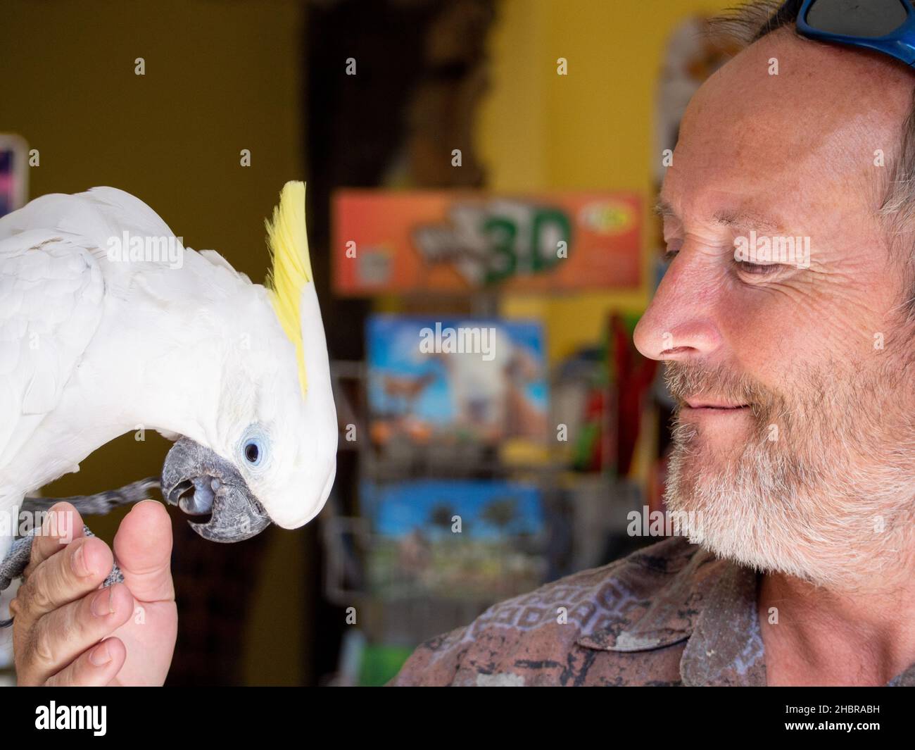 animals and birds at rancho Texas Lanzarote Stock Photo - Alamy