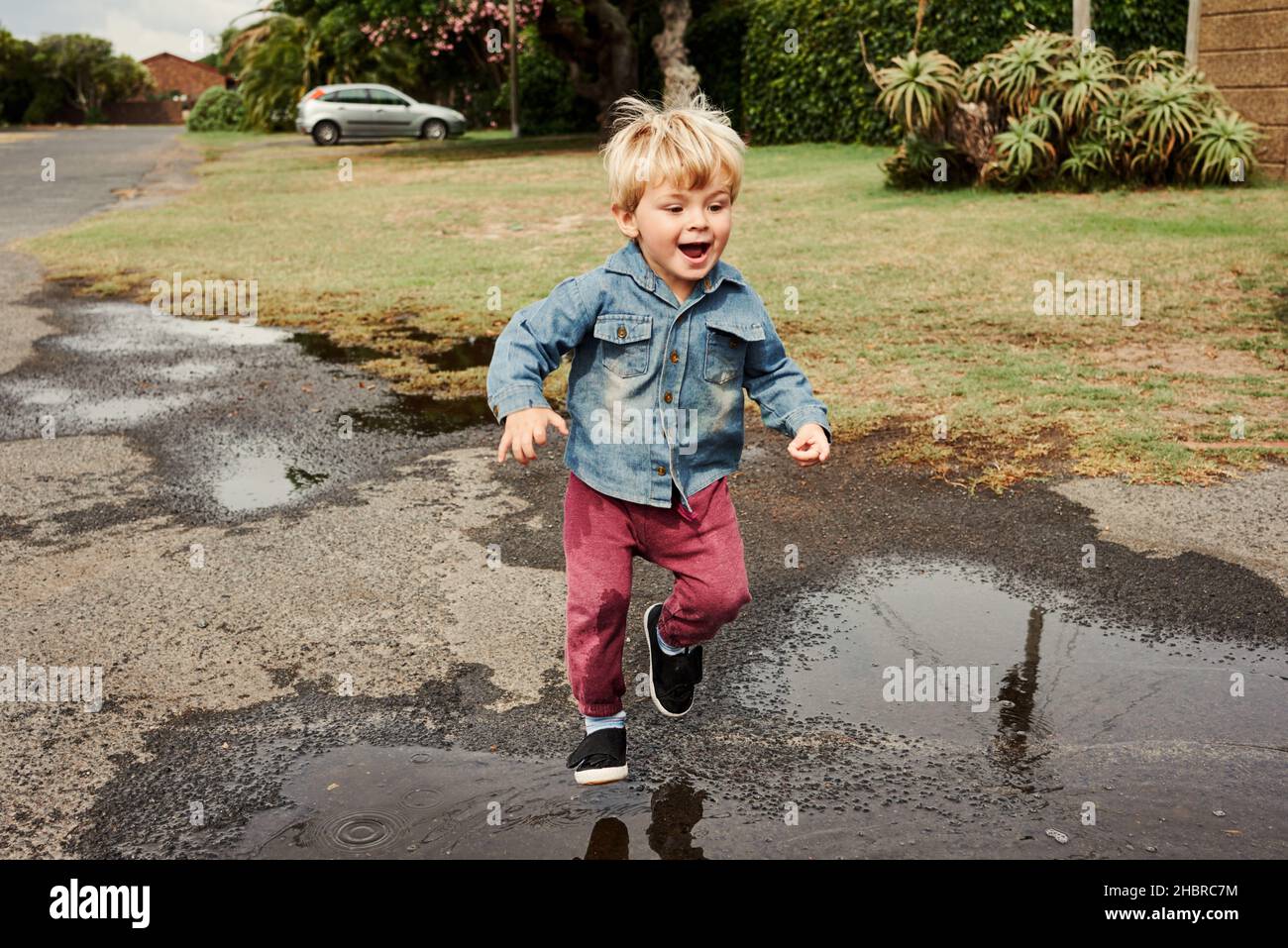 Puddle splash frenzy Stock Photo - Alamy
