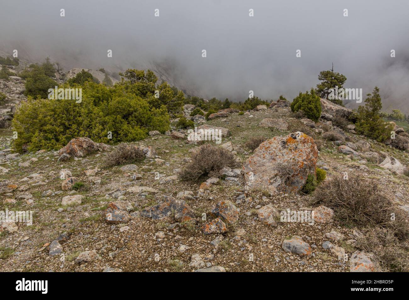 Rocks in mist in Fann mountains, Tajikistan Stock Photo - Alamy