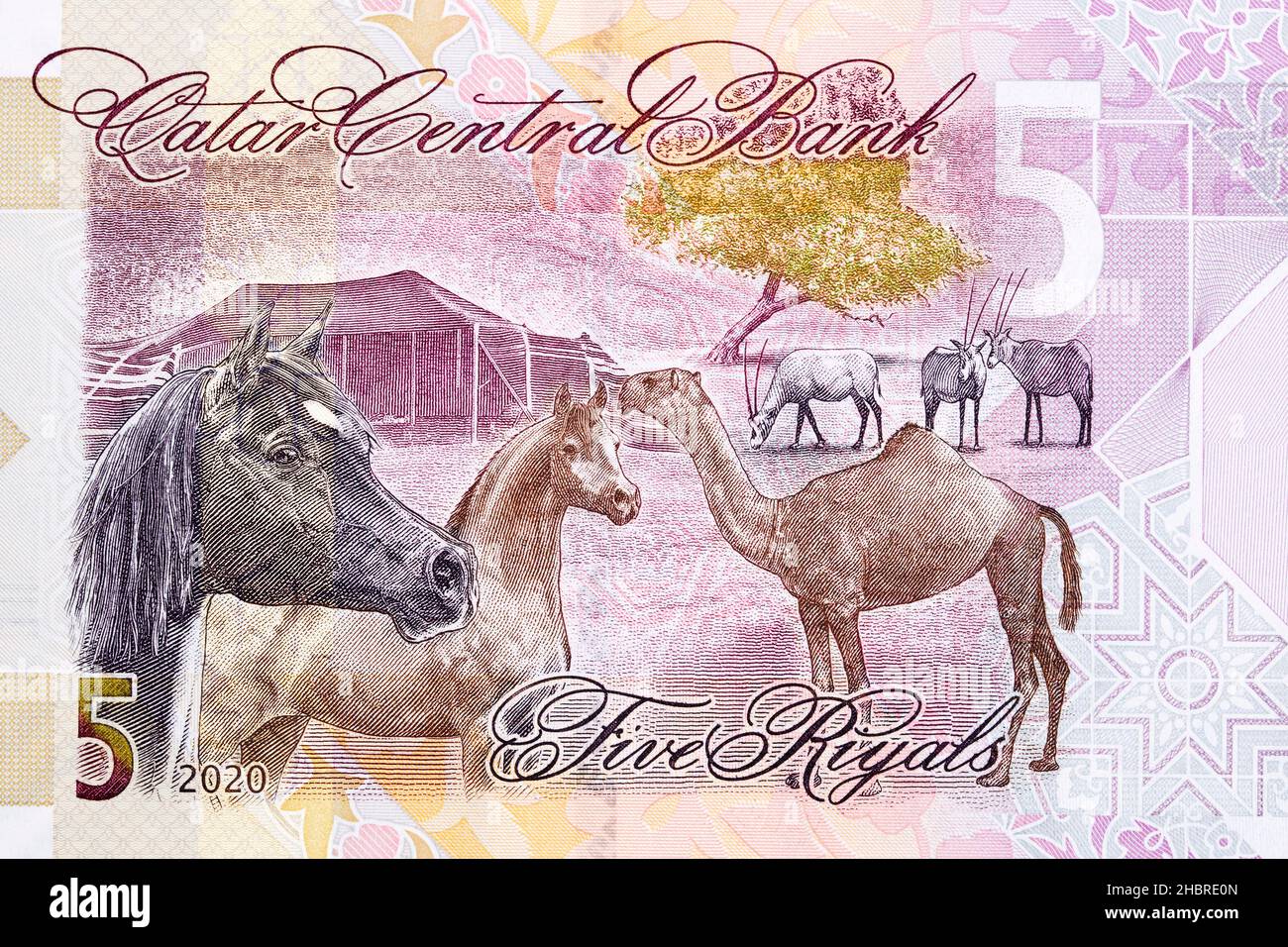 Traditional desert scene comprising fauna, flora and hair tent from ...