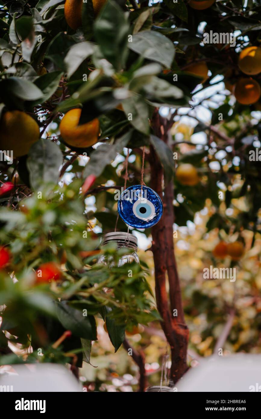 Turkish eye-shaped amulet hanging on a mandarin tree, Turkey ...