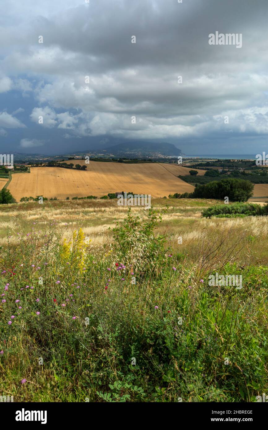 View of Monte Conero, Porto Recanati, Marche, Italy, Europe Stock Photo ...