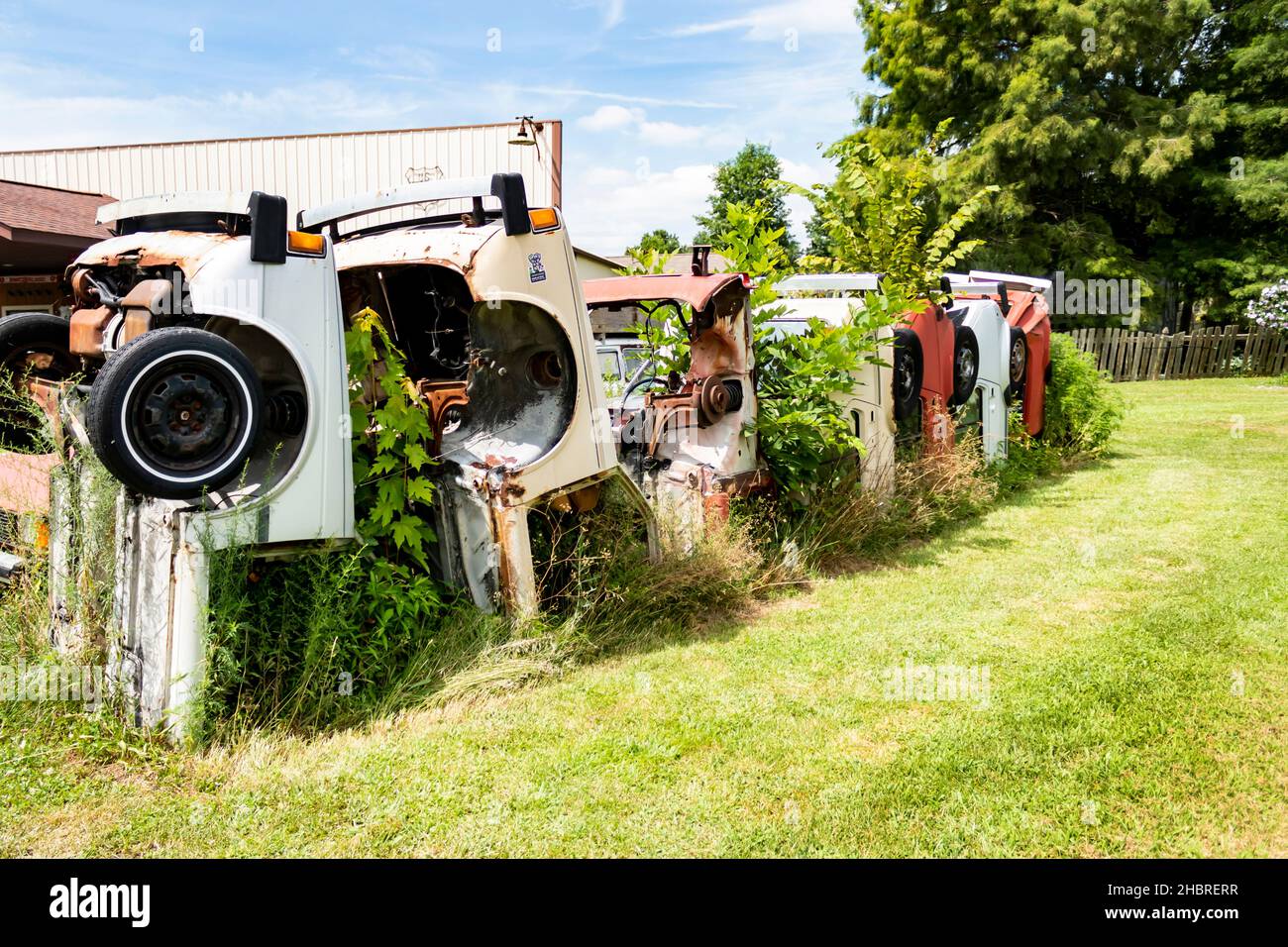buried cars like at Cadillac ranch but at Henrys Rabbit Ranch, Historic ...