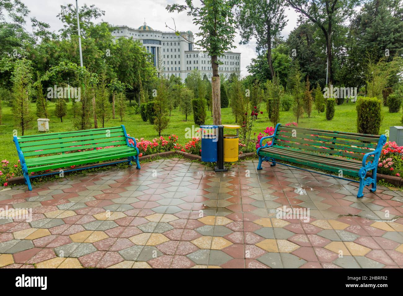 Blossoming Roses In Rudaki Park In Dushanbe Capital Of Tajikistan