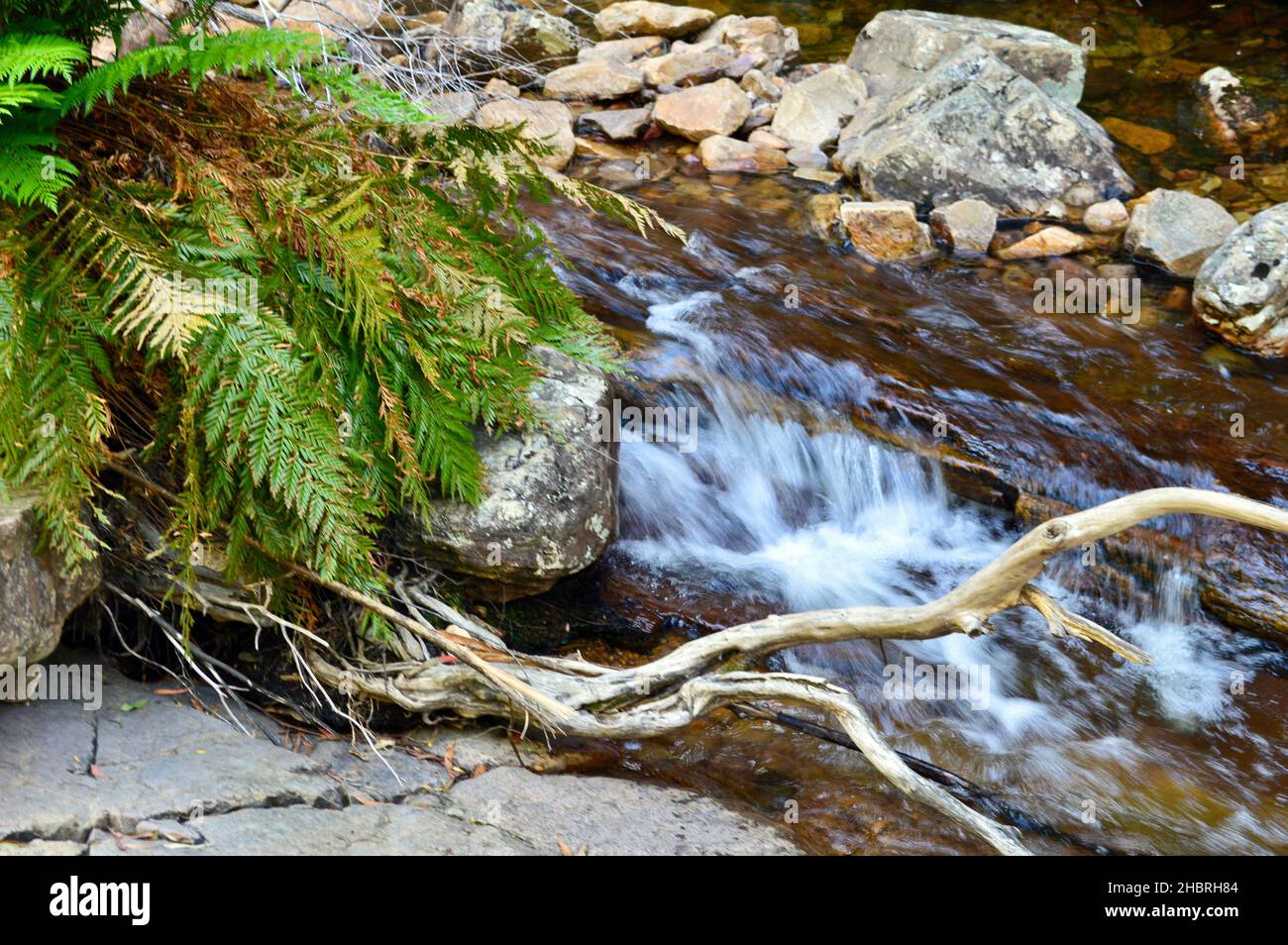 A view of a stream at Kananangra Walls in NSW, Australia Stock Photo ...