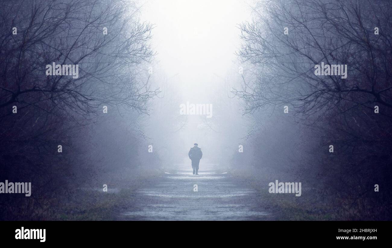 Man walking foggy dark forest hi-res stock photography and images - Alamy