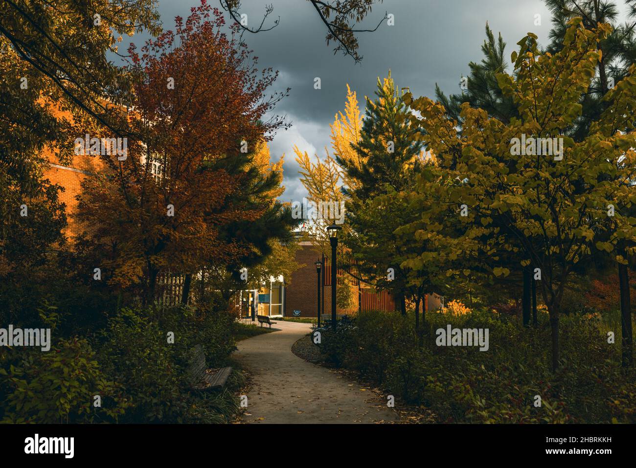 A cloudy summer day in a park with lush greenery surrounding a long ...