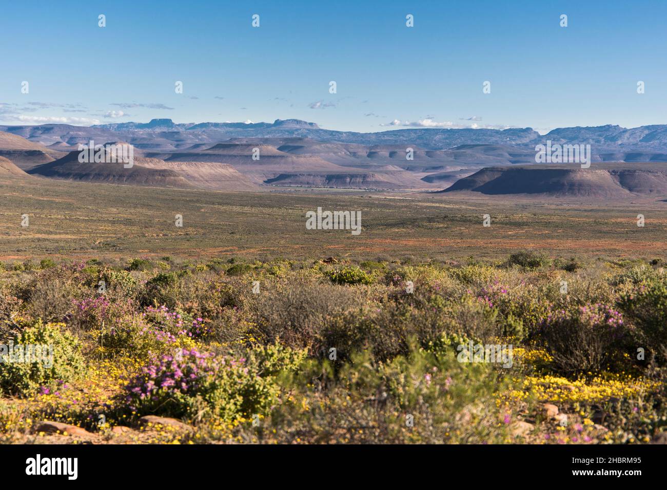 Karoo landscape hi-res stock photography and images - Alamy