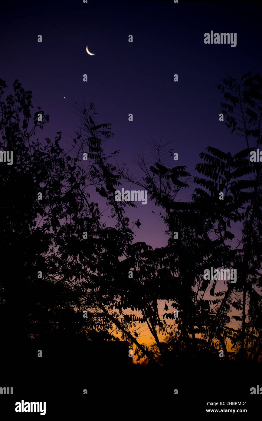 Half moon at the afternoon with tree black figures in the sky in Buenos ...