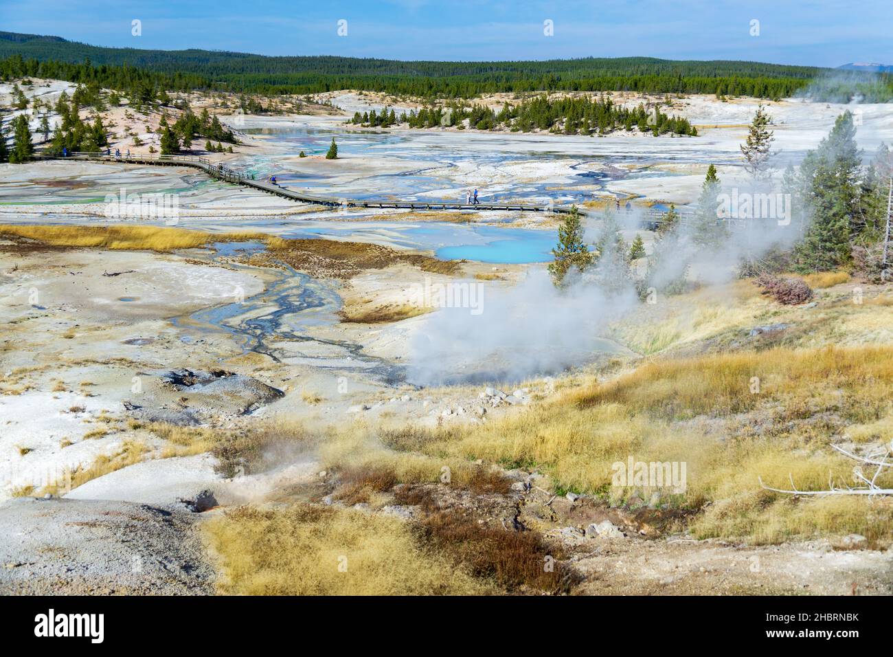 The view of geysers in Yellowstone National Park. USA Stock Photo - Alamy