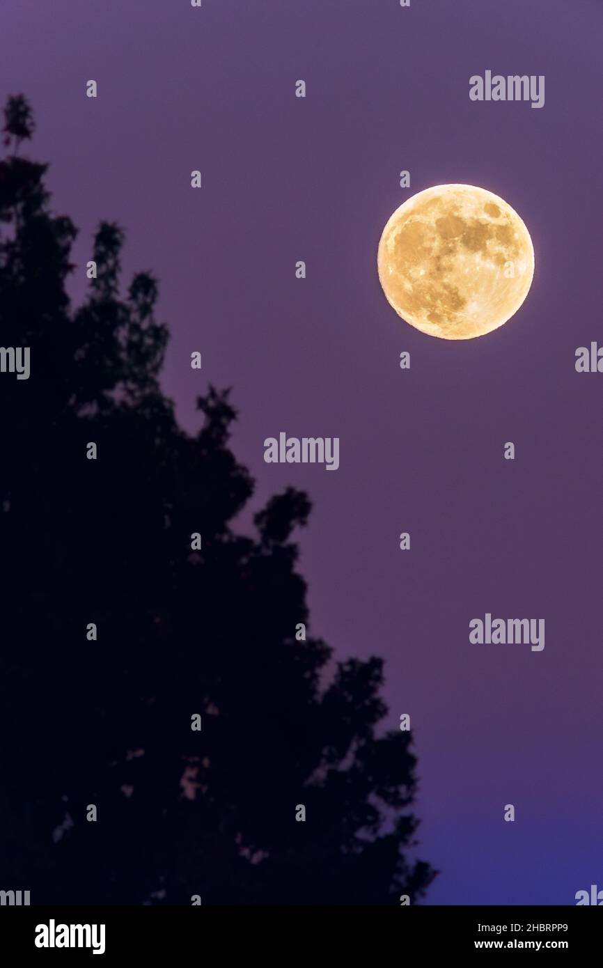 Full moon purple night sky hi-res stock photography and images - Alamy