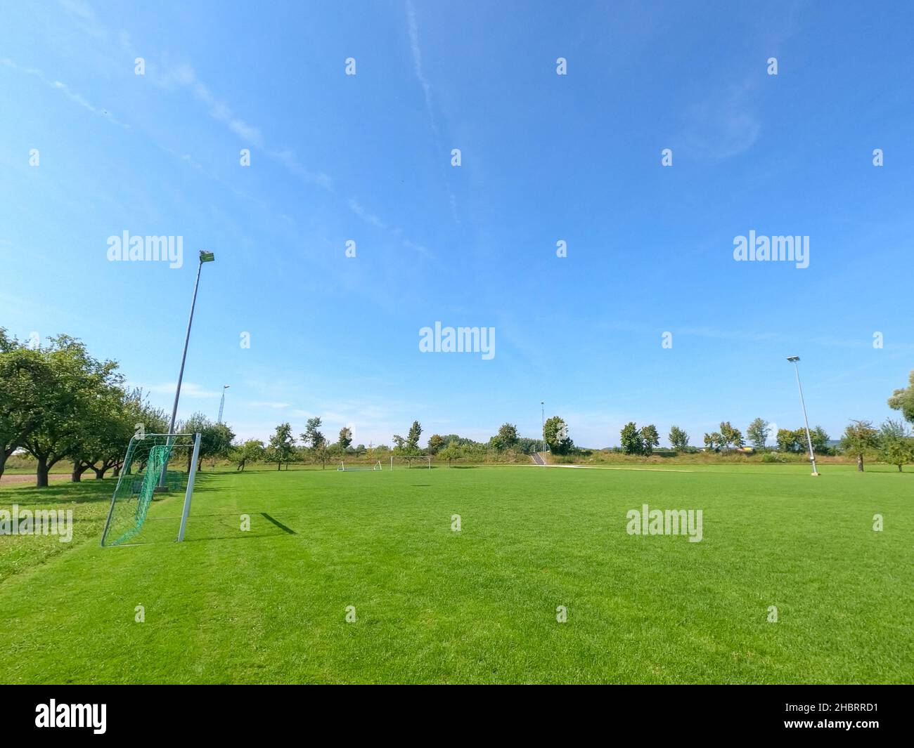 A football pitch surrounded by trees in daylight Stock Photo - Alamy