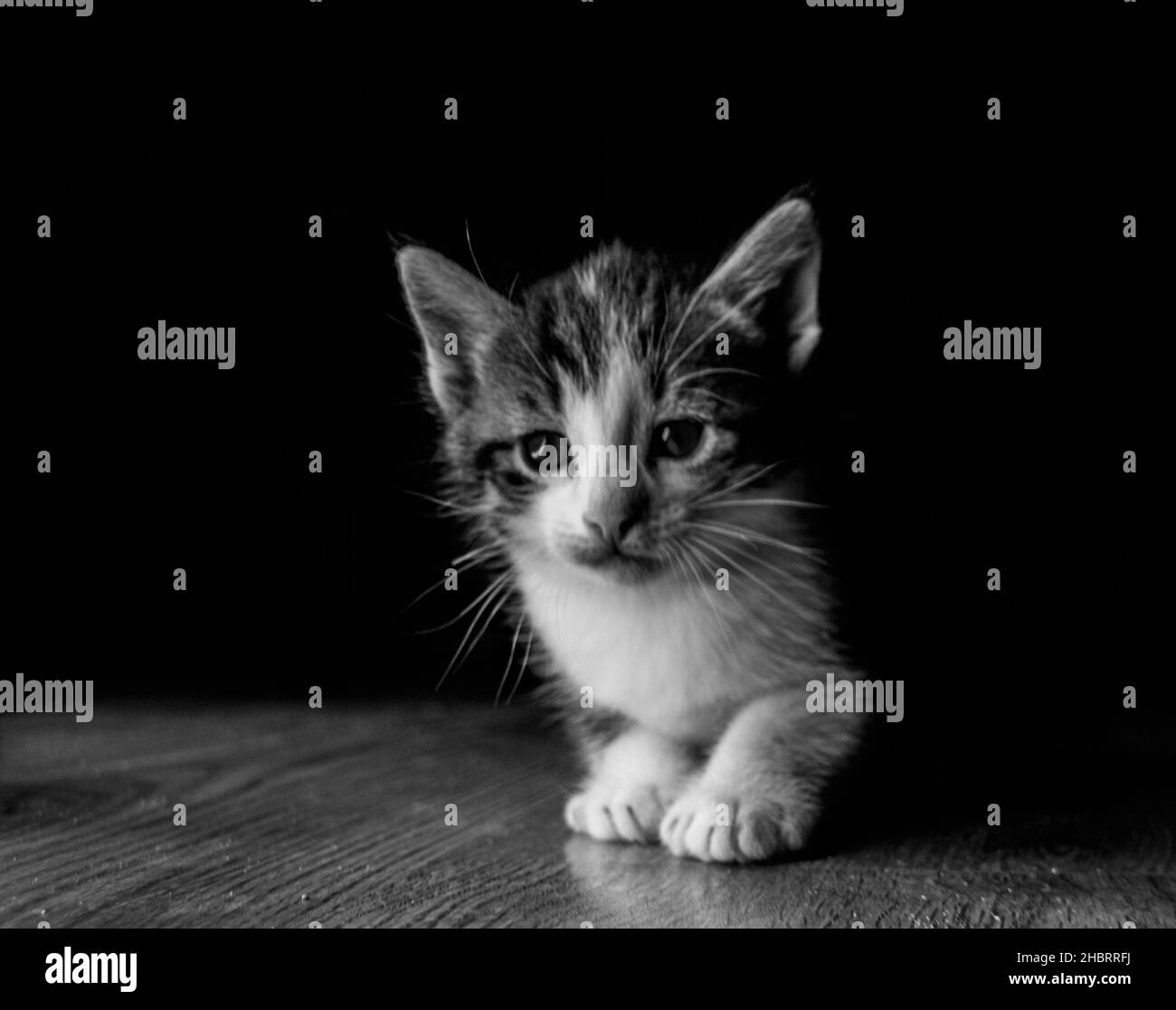 Floor of a small Black and White Stock Photos & Images - Alamy