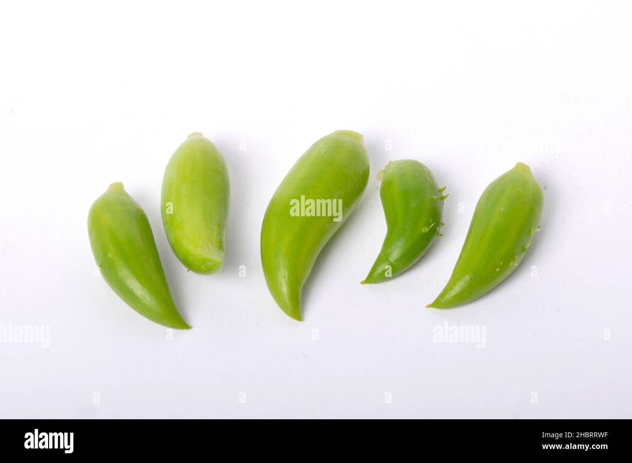 Achocha on a white background Stock Photo - Alamy