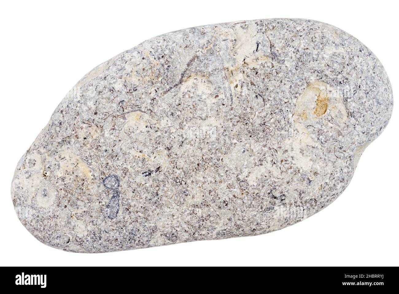 Top view of single gray pebble isolated on white background Stock Photo ...