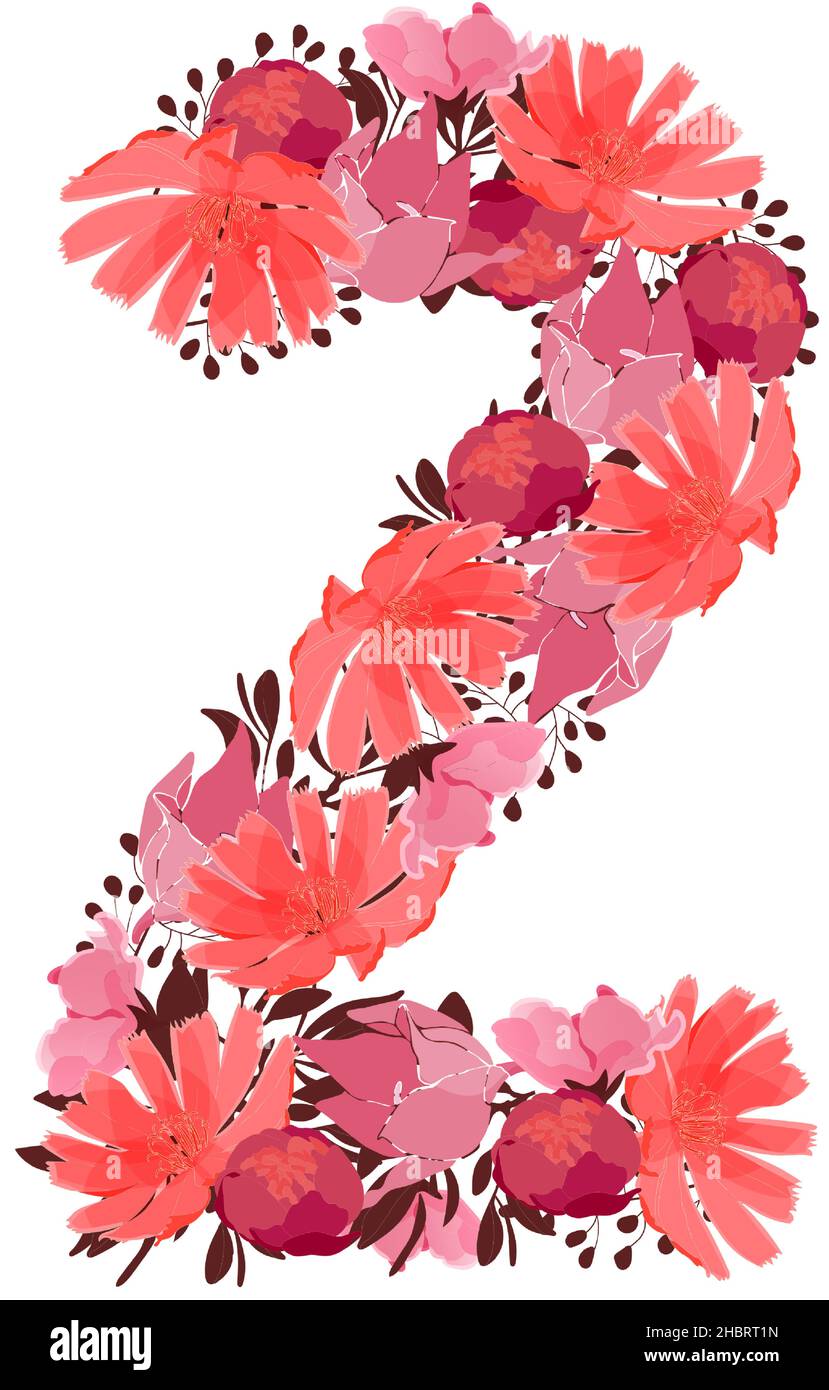 Vector flower number 2. Botanical character, figure. Pink, maroon ...