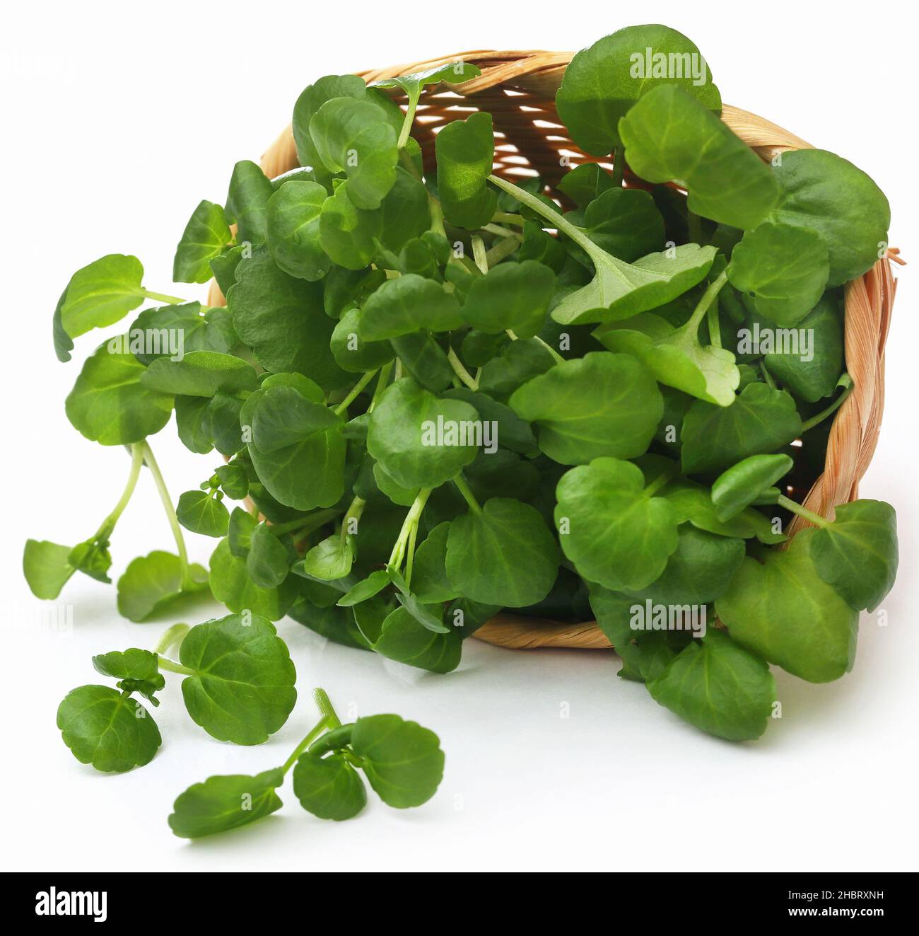 Fresh organic watercress over white background Stock Photo - Alamy