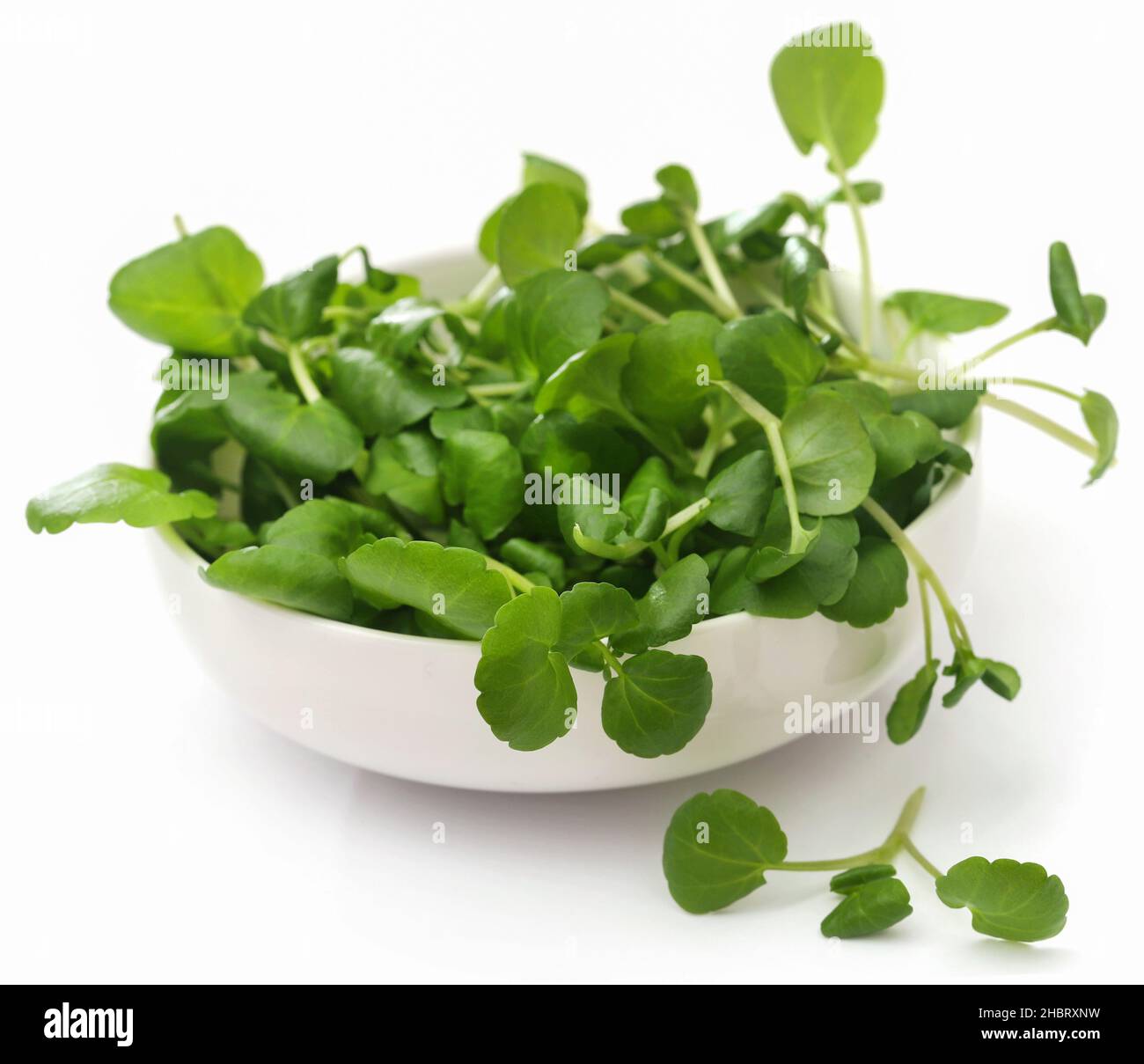 Fresh organic watercress over white background Stock Photo - Alamy