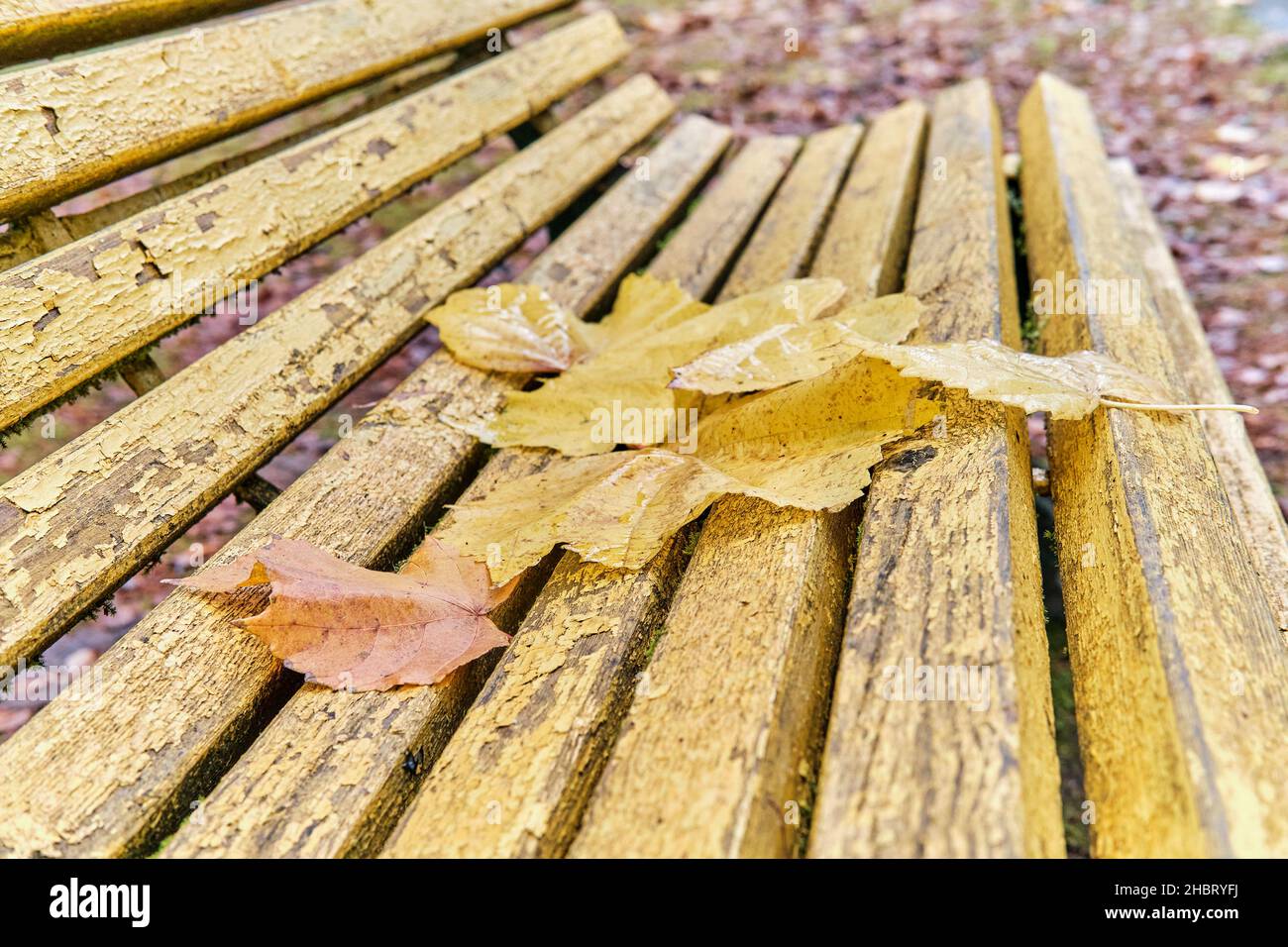 Several fallen leaves on an old shabby yellow wooden park bench. Autumn ...