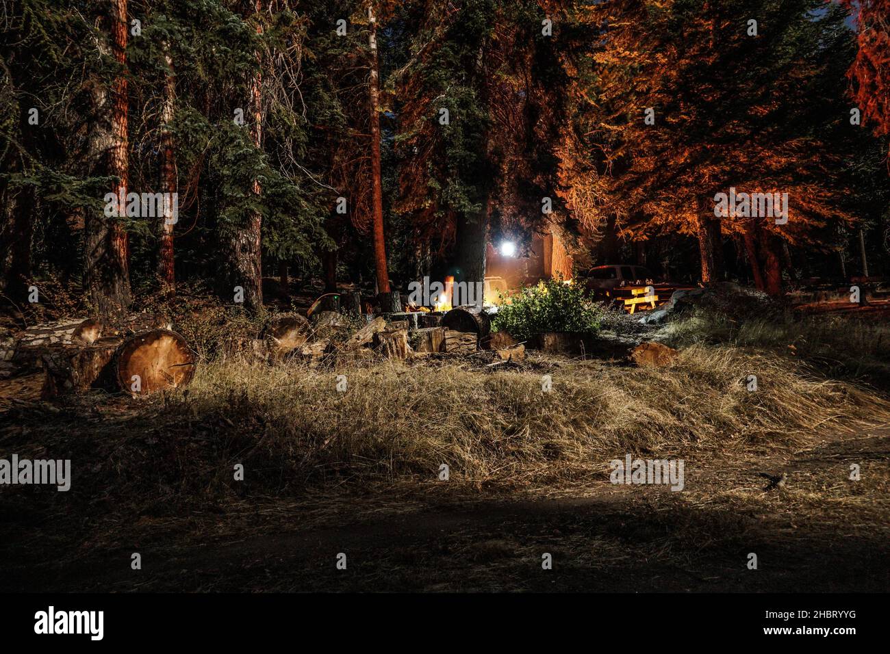 The lamp's light in the forest at night. Camping Stock Photo - Alamy