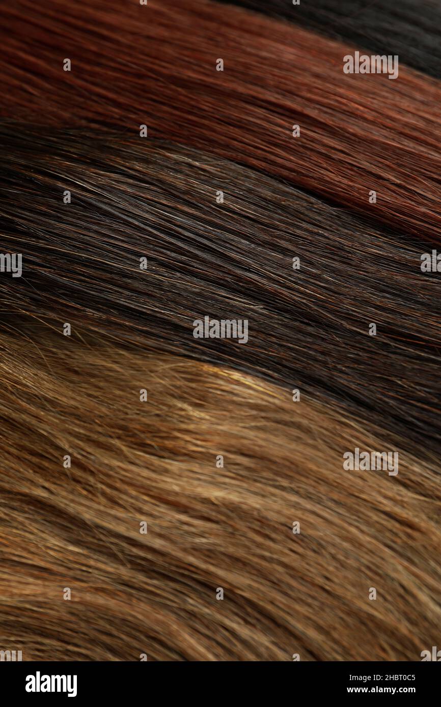 Different color female hair on whole background, close up Stock Photo ...